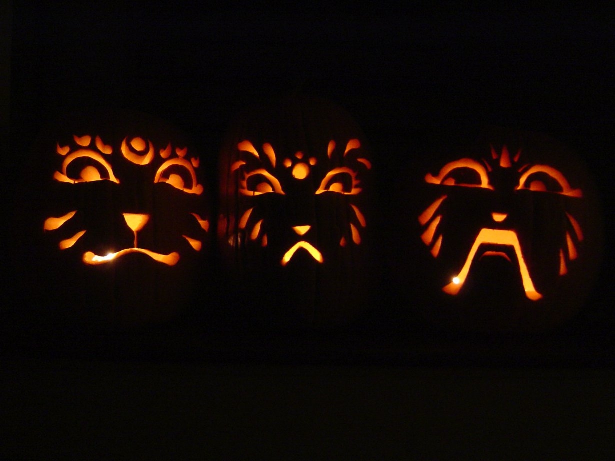 Pumpkin Gallery - Anime News Network