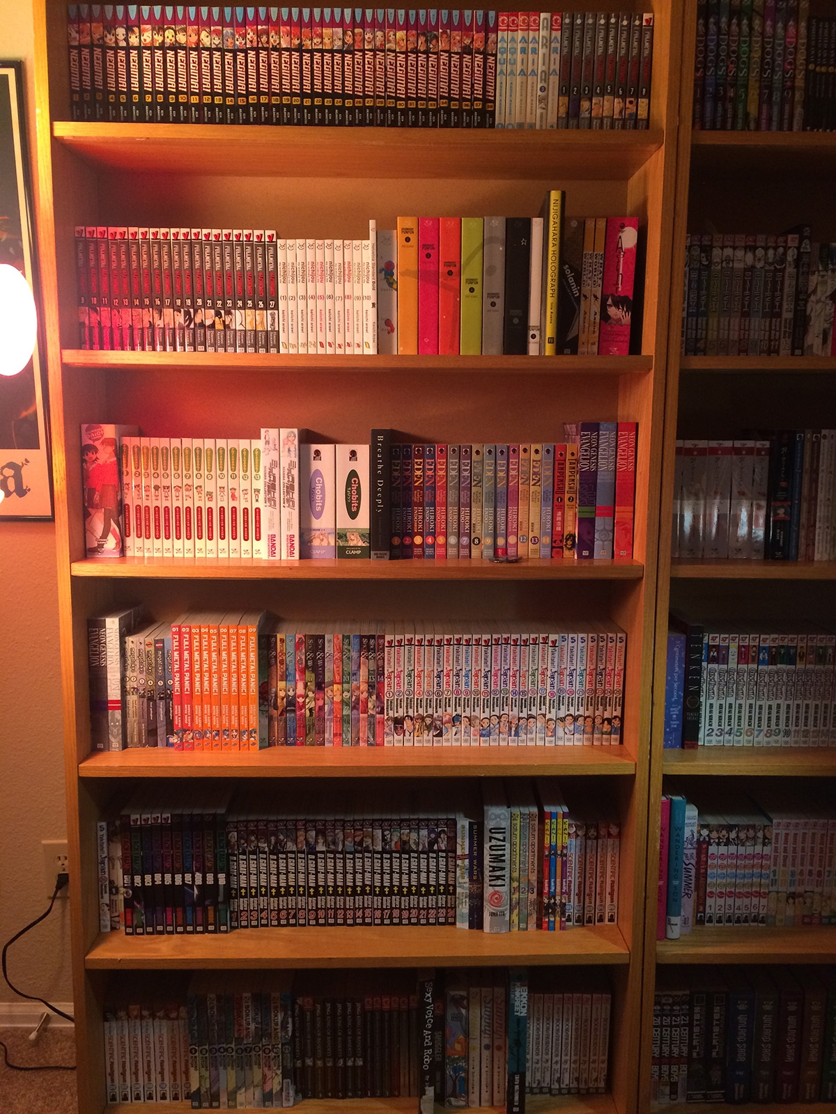 Akiba's Trip - Shelf Life - Anime News Network