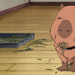 Episode 10 - World Trigger - Anime News Network