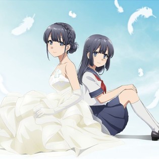 Rascal Does Not Dream of a Dreaming Girl - Review - Anime News Network
