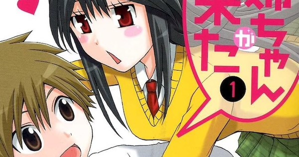 Oneechan ga Kita 4-Panel Sisterly Love Manga Ends - News - Anime News ...