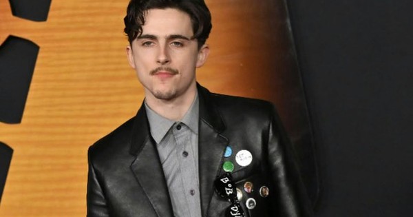 Timothée Chalamet's Red-Carpet Accessory Is a Tusk Mammoth Beyblade ...