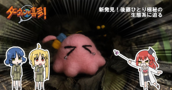 Episode 11 - Bocchi the Rock! [2022-12-18] - Anime News Network