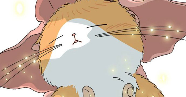 Getting Started with K-Comics - WEBTOON - Anime News Network