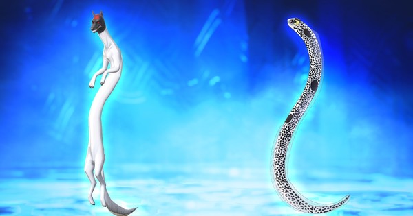 Sumida Aquarium Thinks Shin Megami Tensei's Inugami Looks An Awful Lot ...