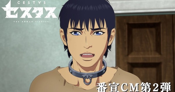 Cestvs: The Roman Fighter TV Anime's 2nd Ad Unveils Sarasa Kadowaki's ...
