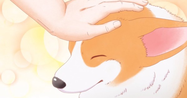 Tono to Inu Anime's Video Unveils Staff, October 10 Debut of 1st of 4 ...