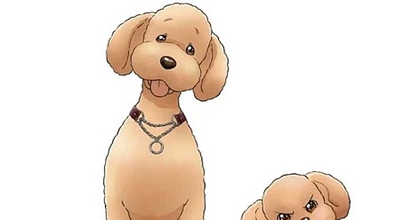 Ani-One Philippines Adds Dog Signal Anime in the Philippines - News ...