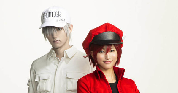 Cells at Work Stage Play Reveals 2 Main Cast Members in Costume - News ...