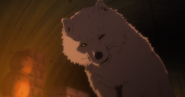 Arctic Wolf Human Form Anime