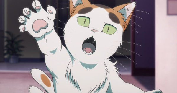 Episode 12 - Tonari no Yōkai-san - Anime News Network