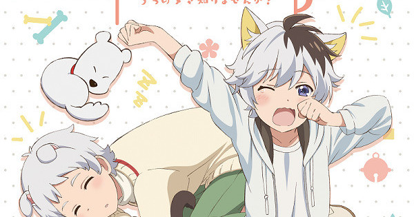 MAPPA, Lapin Track Make Tama and Friends' Uchi Tama!? TV Anime for ...