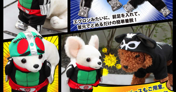 Let Your Dog Save the Day In A Kamen Rider Outfit - Interest - Anime ...