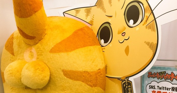Fans Get 'Fluffy Experience' at Transforming Bishōnen Cat Project's ...