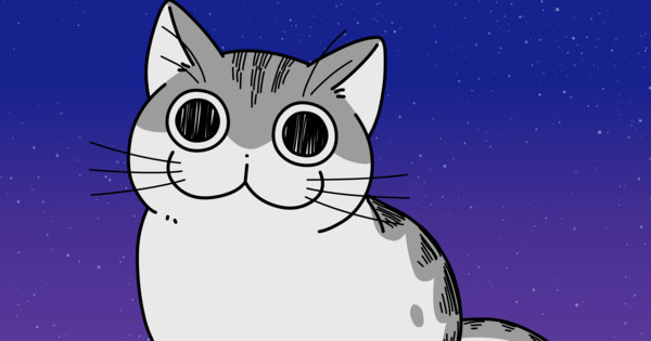 Nights with a Cat Anime Gets 3rd Season - News - Anime News Network