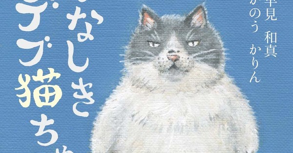 Kanashiki Debu Neko-chan 'Local Tale' From Ehime Gets NHK TV Anime in ...
