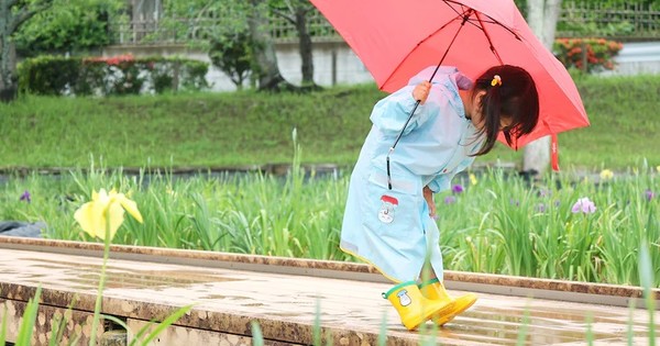 My Neighbor Totoro’s Iconic Rain Scene Inspires Rain Clothes – Interest ...