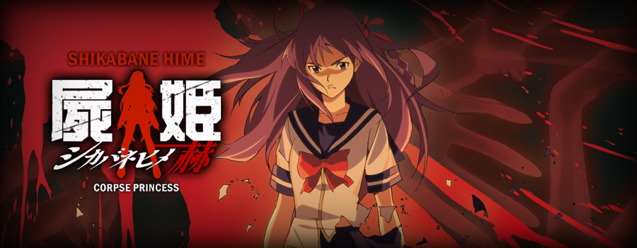 El Rincón del Anime