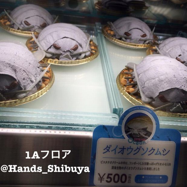 Shokotan Munches on Limited Edition Isopod Cake in Shibuya - Interest ...
